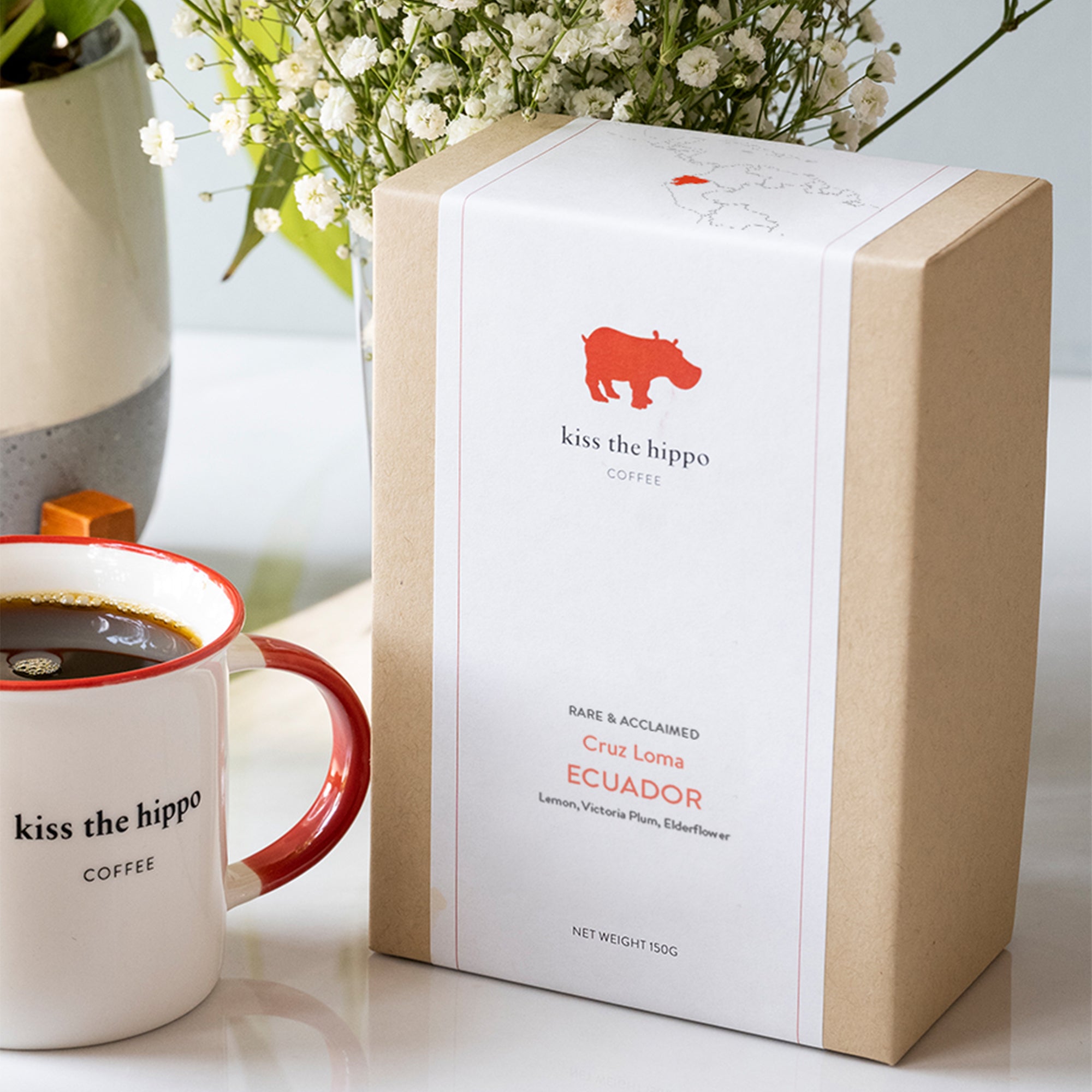 Ecuadorian, Single Origin Coffee - Cruz Loma – Kiss the Hippo Coffee