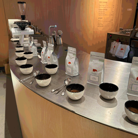 Kiss the Hippo Coffee – Coffee Tasting Course: Coffee Workshops in ...