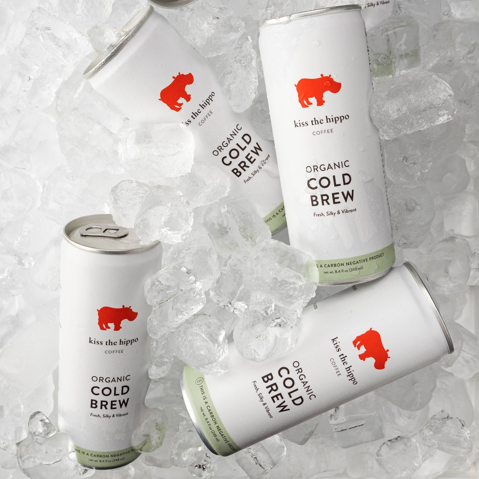 Organic Cold Brew | 12 Pack – Kiss the Hippo Coffee