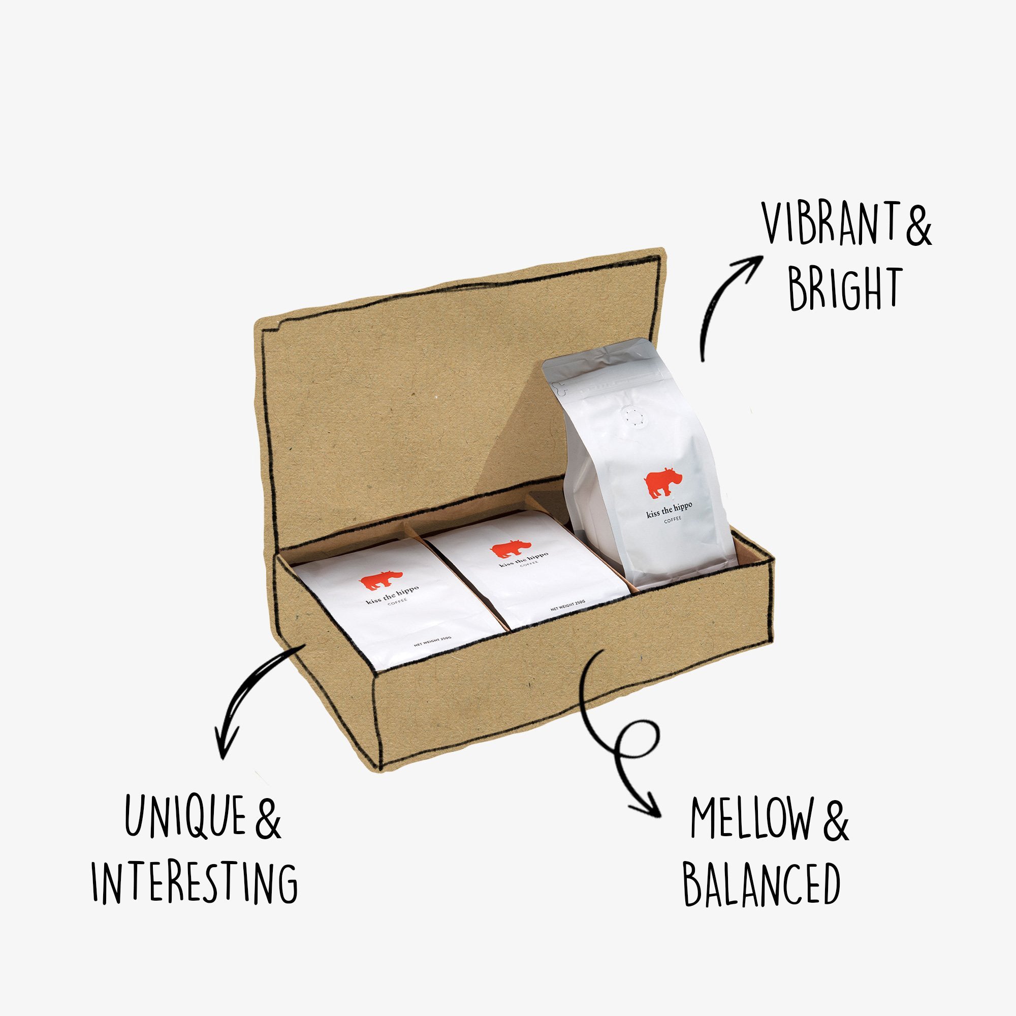 Explorer Taster Pack - Specialty Coffee Taster Pack – Kiss the Hippo Coffee