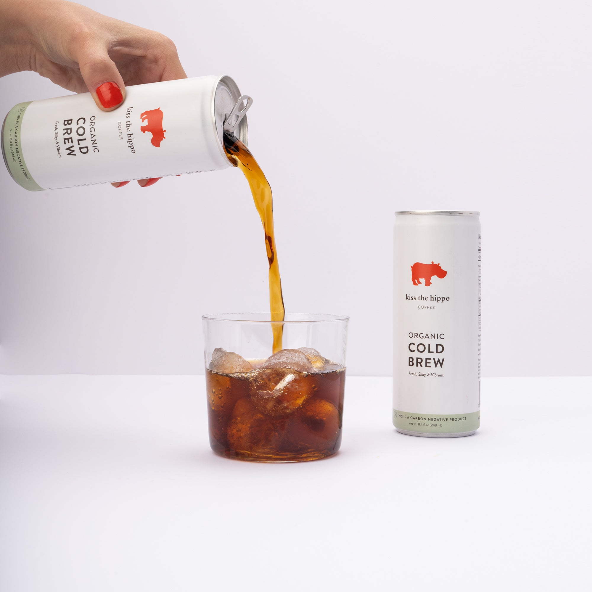 Organic Cold Brew | 12 Pack – Kiss the Hippo Coffee